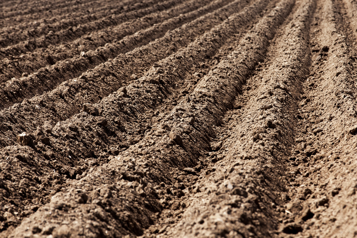 To Till or not to Till - SPNC Corp